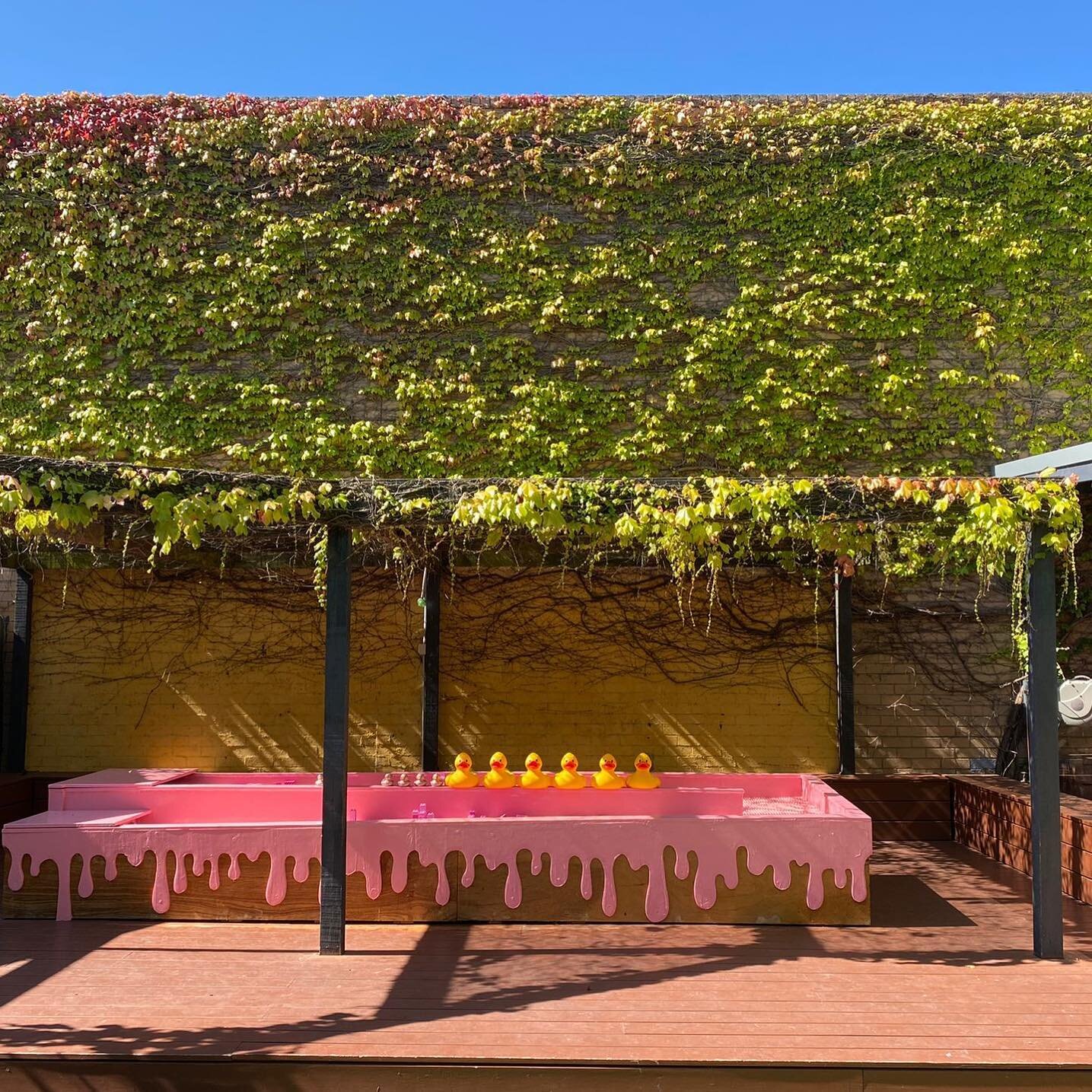 Book Your Play at MoPA Geelong | Museum of Play and Art